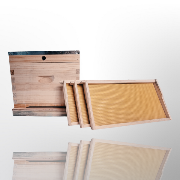 10 Frame beehive single plastic foundation Fully Assembled – The ...